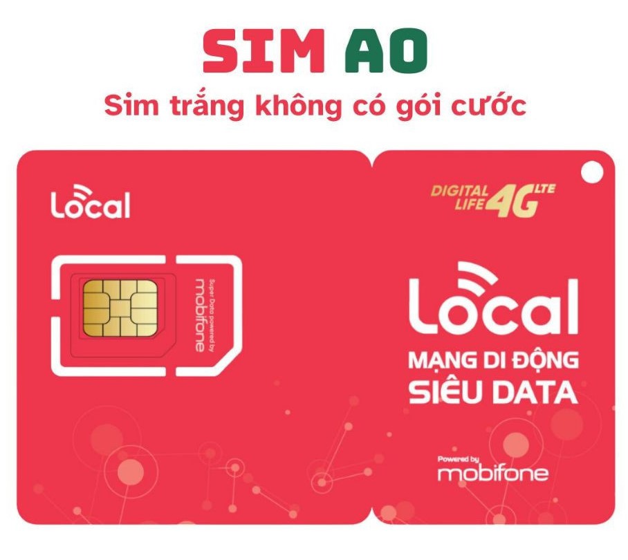 SIM Local A0