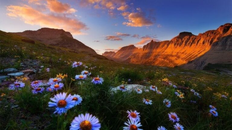 Top 55+ ảnh bìa đẹp cute nhất - Tải xuống ngay