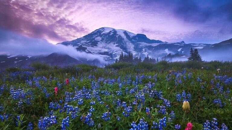 Top 55+ ảnh bìa đẹp cute nhất - Tải xuống ngay