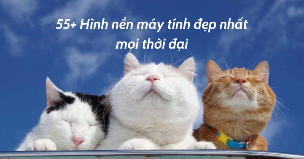 350+ Hình Nền Máy Tính 4K Đẹp Nhất 2024: Tải Miễn Phí Full HD!