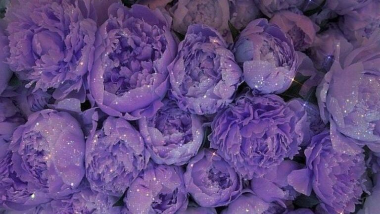 Top 55+ hình nền màu tím ấn tượng, tải miễn phí ngay