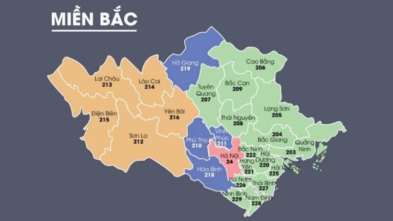 Đầu số 028 là mạng gì, ở đâu? Cách nhận biết mã vùng các tỉnh