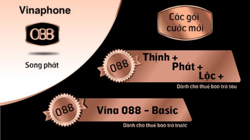 Đầu số 0888 là mạng gì? Ý nghĩa của đầu số 0888