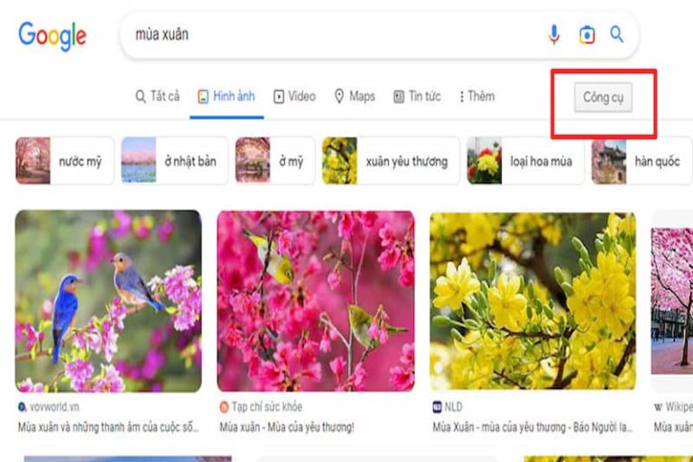 Cách Lưu Ảnh Trên Máy Tính Từ Mọi Nguồn (Google, Facebook, Zalo) Sắc Nét