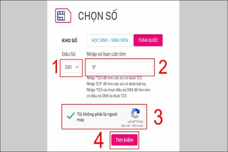 0919 là mạng gì? Đầu số 0919 có ý nghĩa như thế nào?