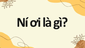 Ní là gì? Nà ní là gì? Tại sao được sử dụng nhiều?