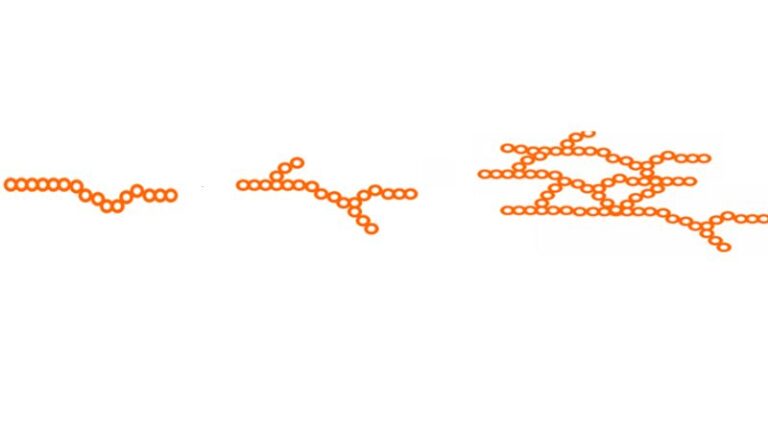 Polime là gì? Cấu tạo, tính chất và ứng dụng của Polymer?