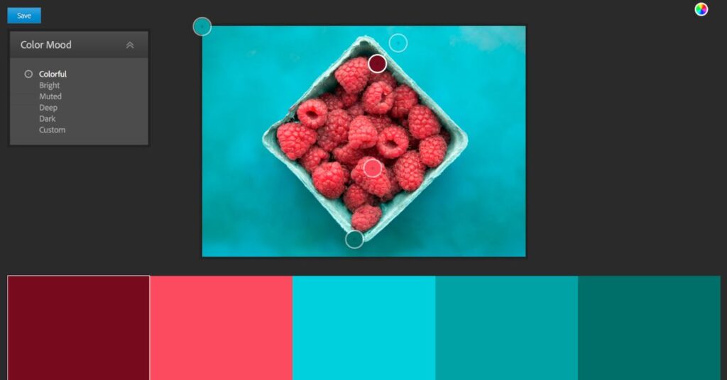 Adobe Color là gì? Tìm hiểu chi tiết về công cụ này