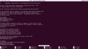 File config là gì? Làm thế nào để chỉnh sửa file config an toàn?