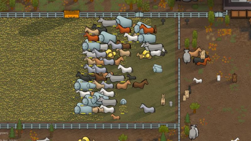 Hướng dẫn cho vật nuôi và thú cưng ăn trong tựa game Rim World