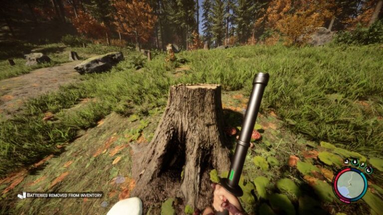 Sons of the forest maps: Những vị trí quan trọng mà bạn cần lưu ý