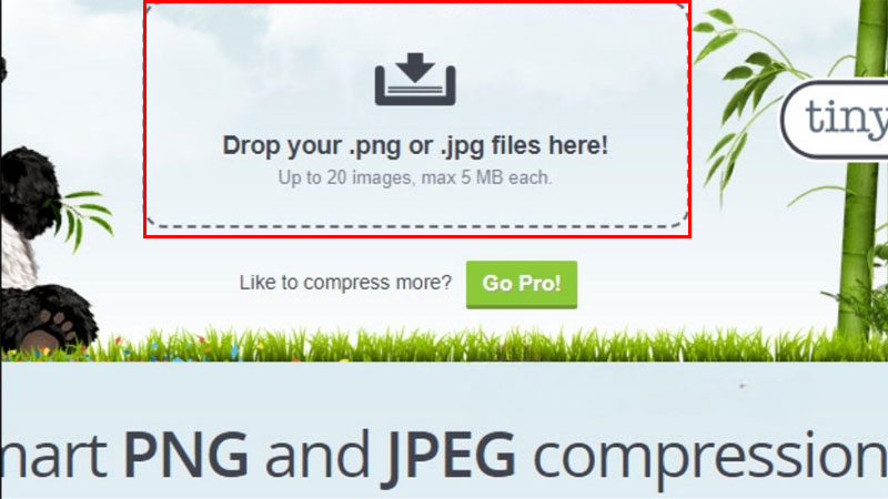 Cách nén ảnh PNG hiệu quả với TinyPNG