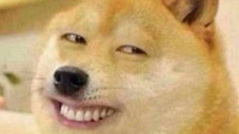 Ảnh cười: 50+ meme cười ra nước mắt hài hước vui nhộn