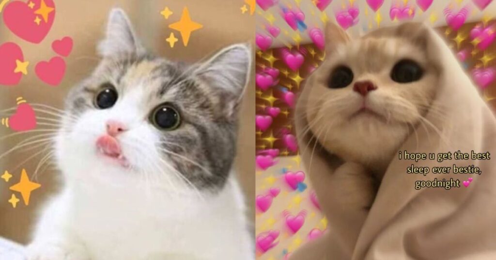 Ảnh Meme là gì? Giải mã nguồn gốc và tổng hợp 100+ meme phổ biến nhất