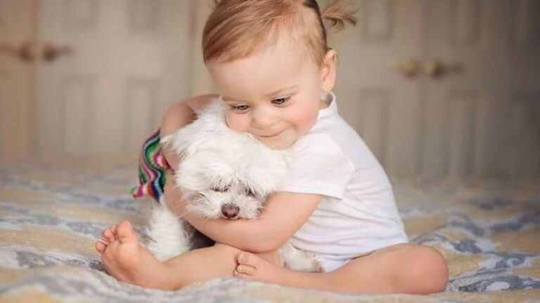 1000+ Ảnh Em Bé Đáng Yêu, Dễ Thương Làm Hình Nền Điện Thoại, Máy Tính ...