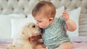 1000+ Ảnh Em Bé Đáng Yêu, Dễ Thương Làm Hình Nền Điện Thoại, Máy Tính ...