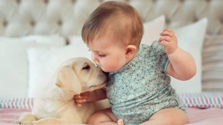 1000+ Ảnh Em Bé Đáng Yêu, Dễ Thương Làm Hình Nền Điện Thoại, Máy Tính ...