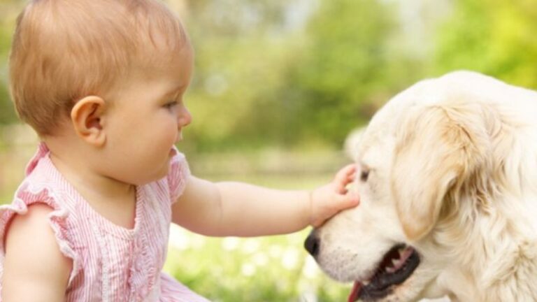 1000+ Ảnh Em Bé Đáng Yêu, Dễ Thương Làm Hình Nền Điện Thoại, Máy Tính ...