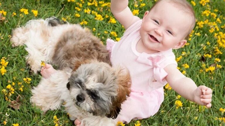 1000+ Ảnh Em Bé Đáng Yêu, Dễ Thương Làm Hình Nền Điện Thoại, Máy Tính ...