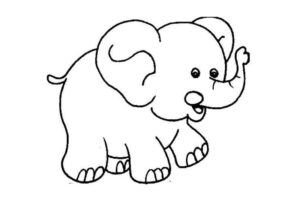 Tổng hợp hình ảnh con voi đẹp, dễ thương nhất