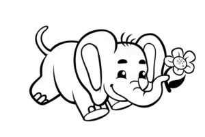 Tổng hợp hình ảnh con voi đẹp, dễ thương nhất