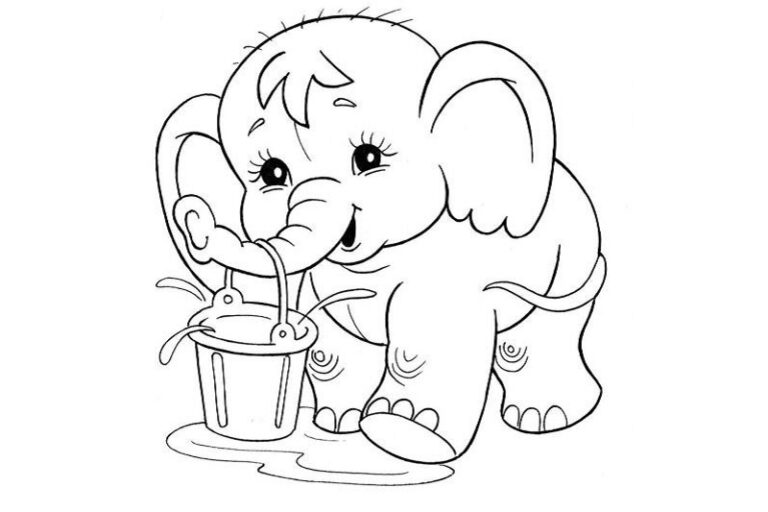 Tổng hợp hình ảnh con voi đẹp, dễ thương nhất