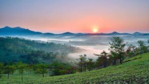 Những hình ảnh Đà Lạt 4k đẹp nhất
