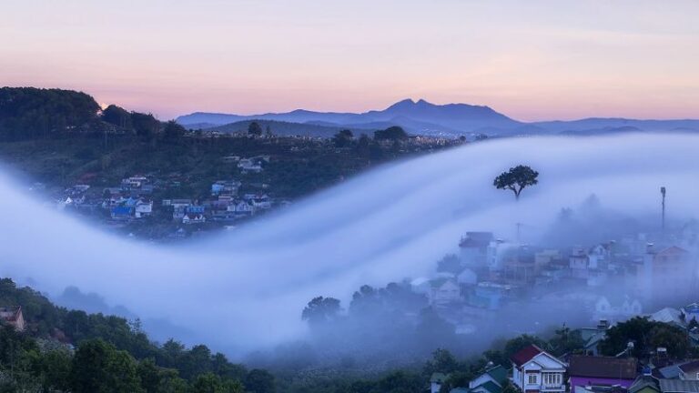Những hình ảnh Đà Lạt 4k đẹp nhất