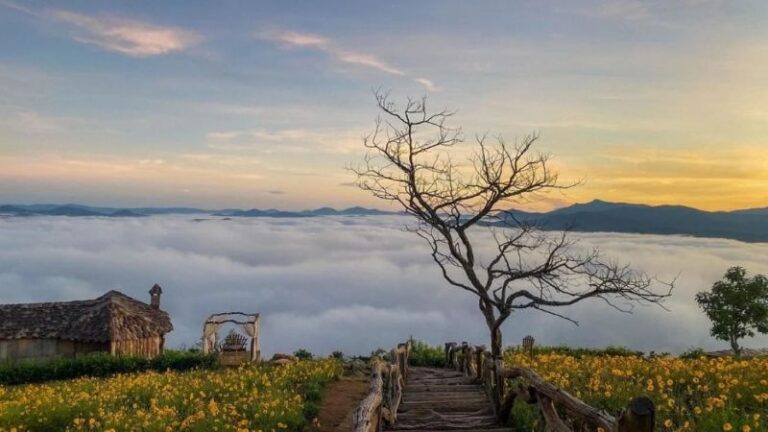 Những hình ảnh Đà Lạt 4k đẹp nhất