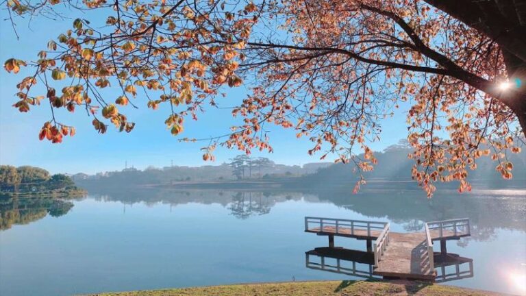 Những hình ảnh Đà Lạt 4k đẹp nhất