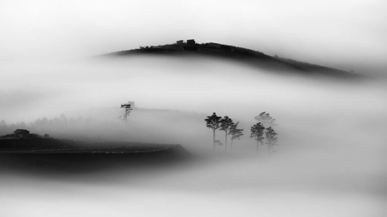 Ảnh trắng đen: 1000 bức ảnh đẹp chất lượng cao