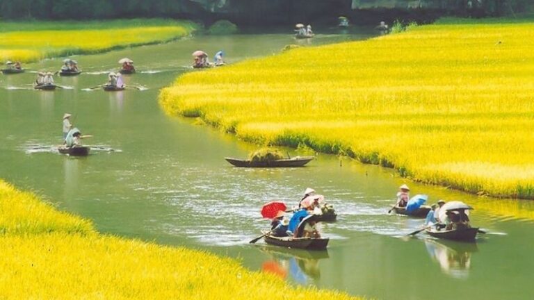 Tổng hợp hình nền ảnh đồng quê Việt Nam đẹp nhất