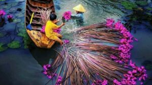 Tổng hợp hình nền ảnh đồng quê Việt Nam đẹp nhất