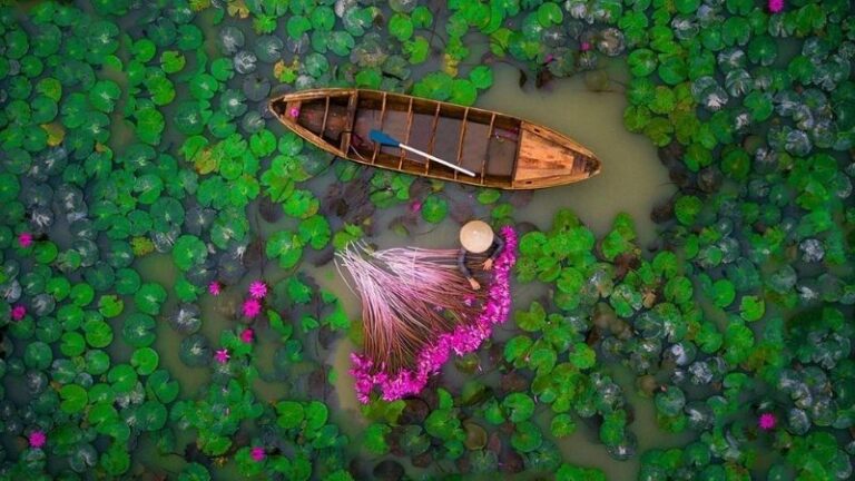 Tổng hợp hình nền ảnh đồng quê Việt Nam đẹp nhất