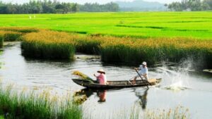 Tổng hợp hình nền ảnh đồng quê Việt Nam đẹp nhất