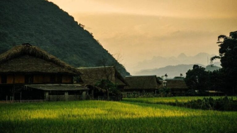 Tổng hợp hình nền ảnh đồng quê Việt Nam đẹp nhất