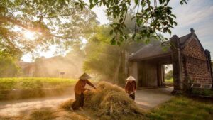 Tổng hợp hình nền ảnh đồng quê Việt Nam đẹp nhất