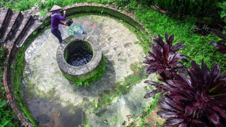 Tổng hợp hình nền ảnh đồng quê Việt Nam đẹp nhất