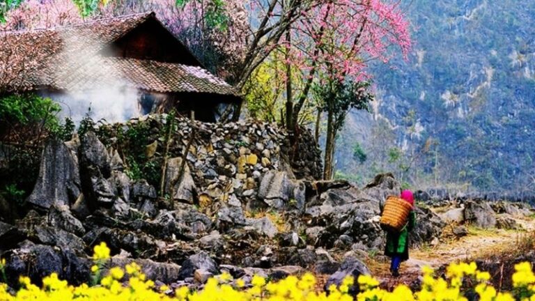 Tổng hợp hình nền ảnh đồng quê Việt Nam đẹp nhất