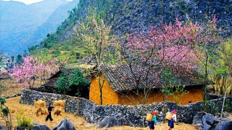 Tổng hợp hình nền ảnh đồng quê Việt Nam đẹp nhất