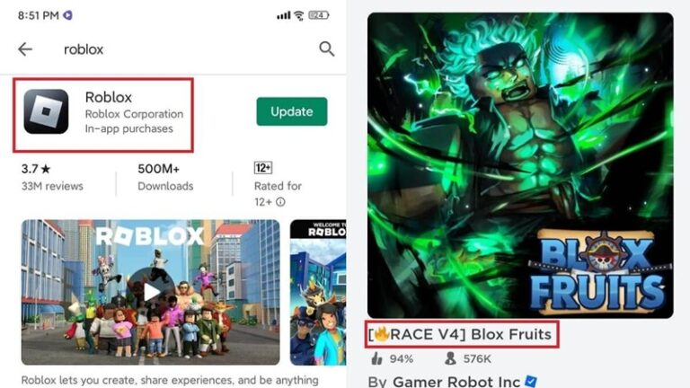 Code Blox Fruit (Blox Piece) update 24 tháng 2/2026