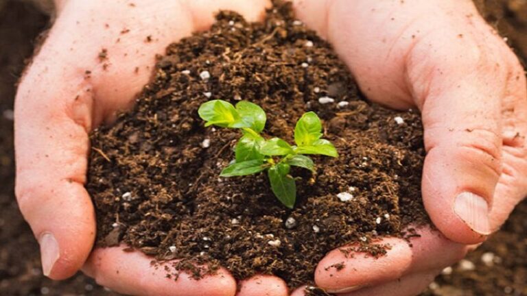 Tương sinh là gì? Các mệnh tương sinh trong ngũ hành