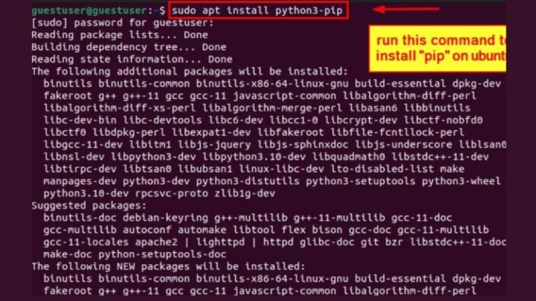 Cách tải Python và cài đặt trên Windows, macOS, Linux