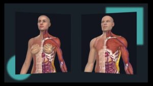 Tải phần mềm Anatomy Learning mới nhất