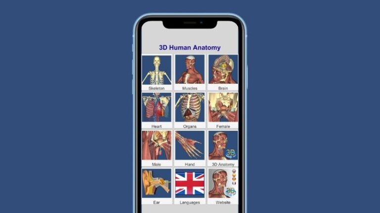 Tải phần mềm Anatomy Learning mới nhất