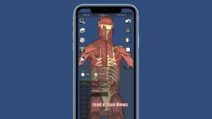 Tải phần mềm Anatomy Learning mới nhất
