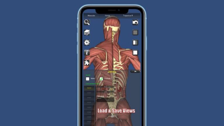 Tải phần mềm Anatomy Learning mới nhất