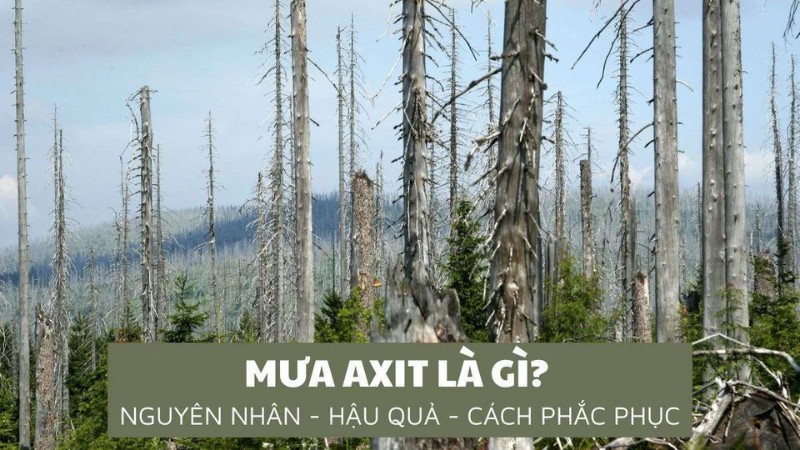Mưa axit là gì? Nguyên nhân, tác hại? Cần làm gì để khắc phục?