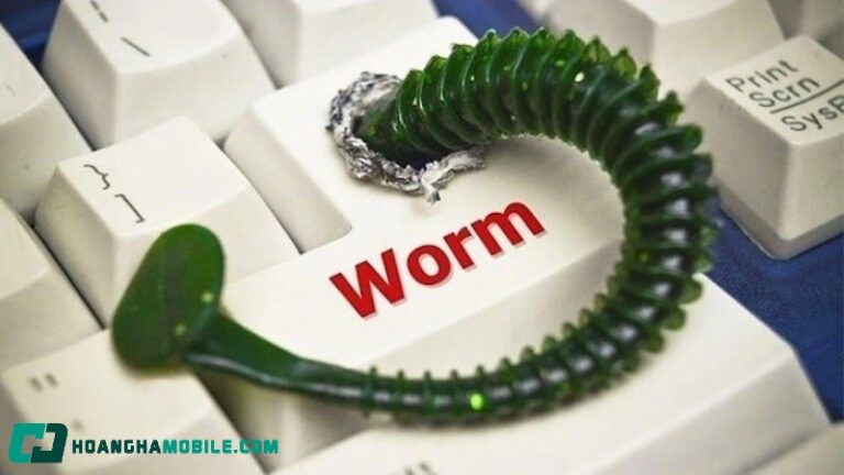 Worm trên máy tính là gì? Cách nhận biết và khắc phục hiệu quả