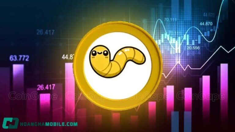 Worm trên máy tính là gì? Cách nhận biết và khắc phục hiệu quả